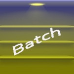 Definition of Batch flow