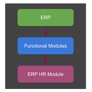 ERP HR Module - 6 HRM Submodules & Features Explained