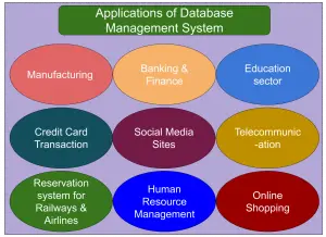 Database Management System (DBMS) - Definition, Examples, Types