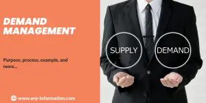 What is Demand Management? (Components, Process, Example)