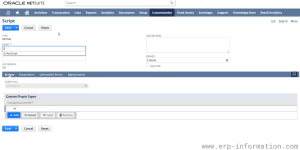 NetSuite SuiteScript: Essential Concepts