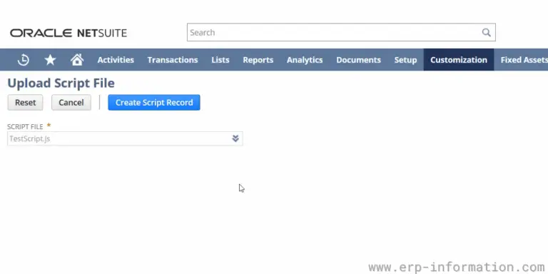 Netsuite Suitescript Essential Concepts
