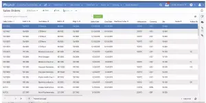 Enterprise Resource Planning Requirements Template