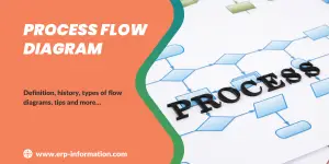 Process Flow Diagram (Types, Workflow, Uses Advantages and Disadvantages)