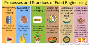 Food Engineering (Goals, Processes, Practices, and Technologies)