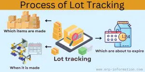 What is Lot Tracking? (Meaning, Importance, and Software)