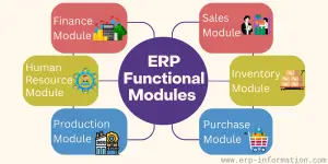 ERP Modules (Types, Features, Categories & Examples)