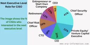 12 Traits of an Effective CISO (How to Become a CISO?)