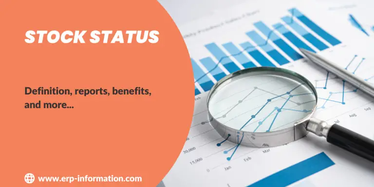 What is Stock Status? - 8 Things the Report Contains