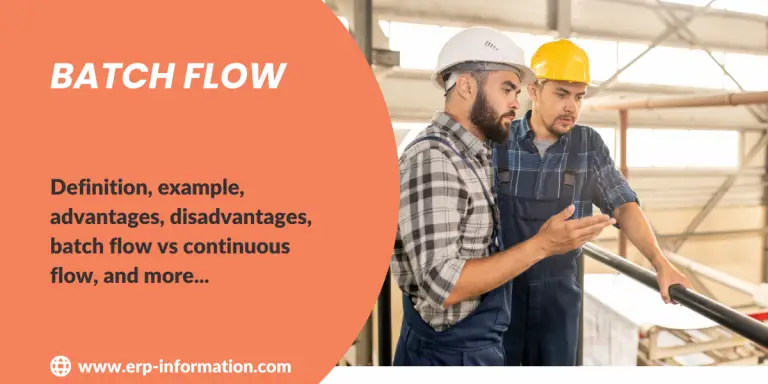 What is Batch Flow? (Example, Process, Batch Flow vs Continuous Flow)