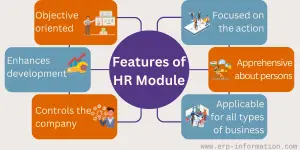 ERP HR Module - 6 HRM Submodules & Features Explained