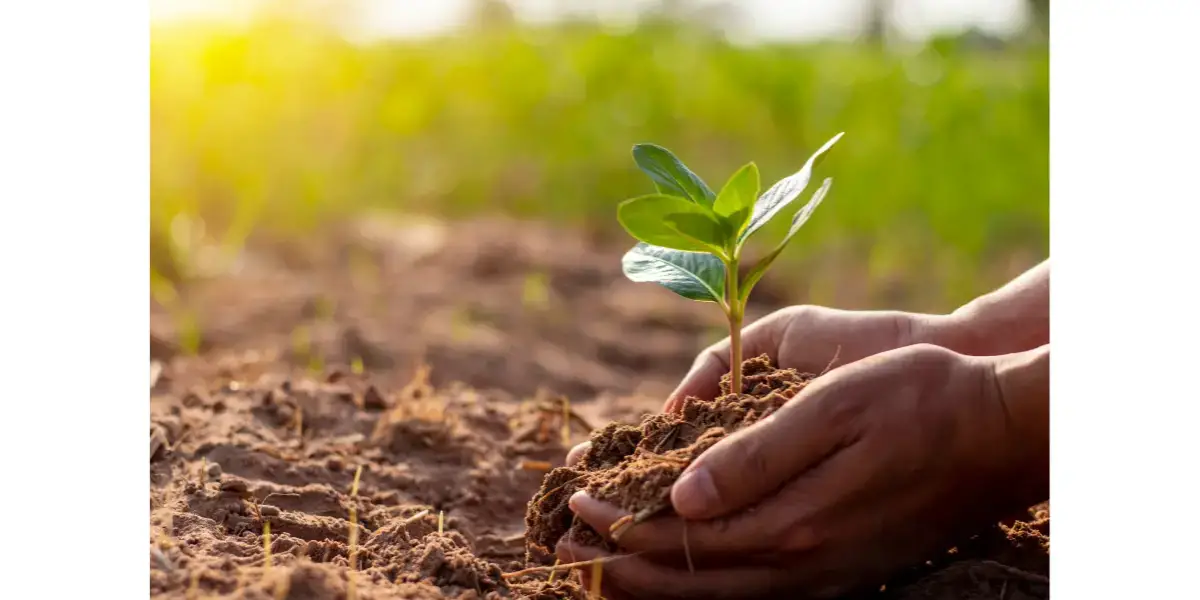 Sustainable Agriculture and Transport