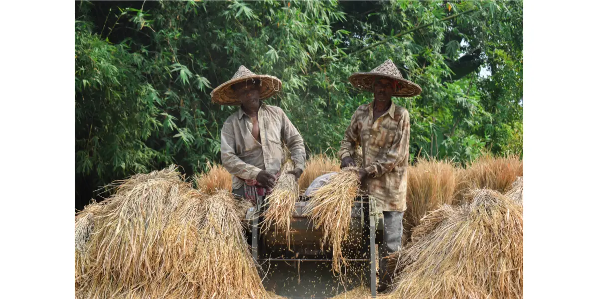 Sustainable Agriculture and Transport